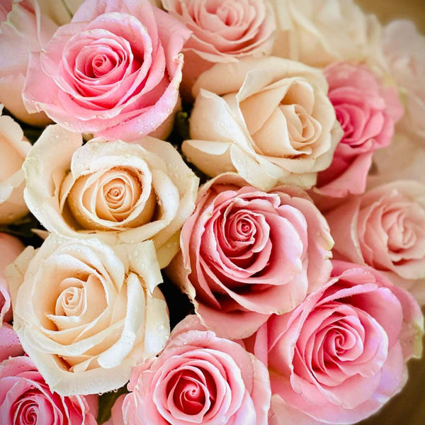 Fresh Pink and Cream Roses Arrangements - Flower Lab